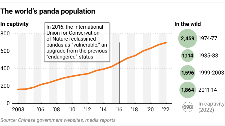 China's panda business