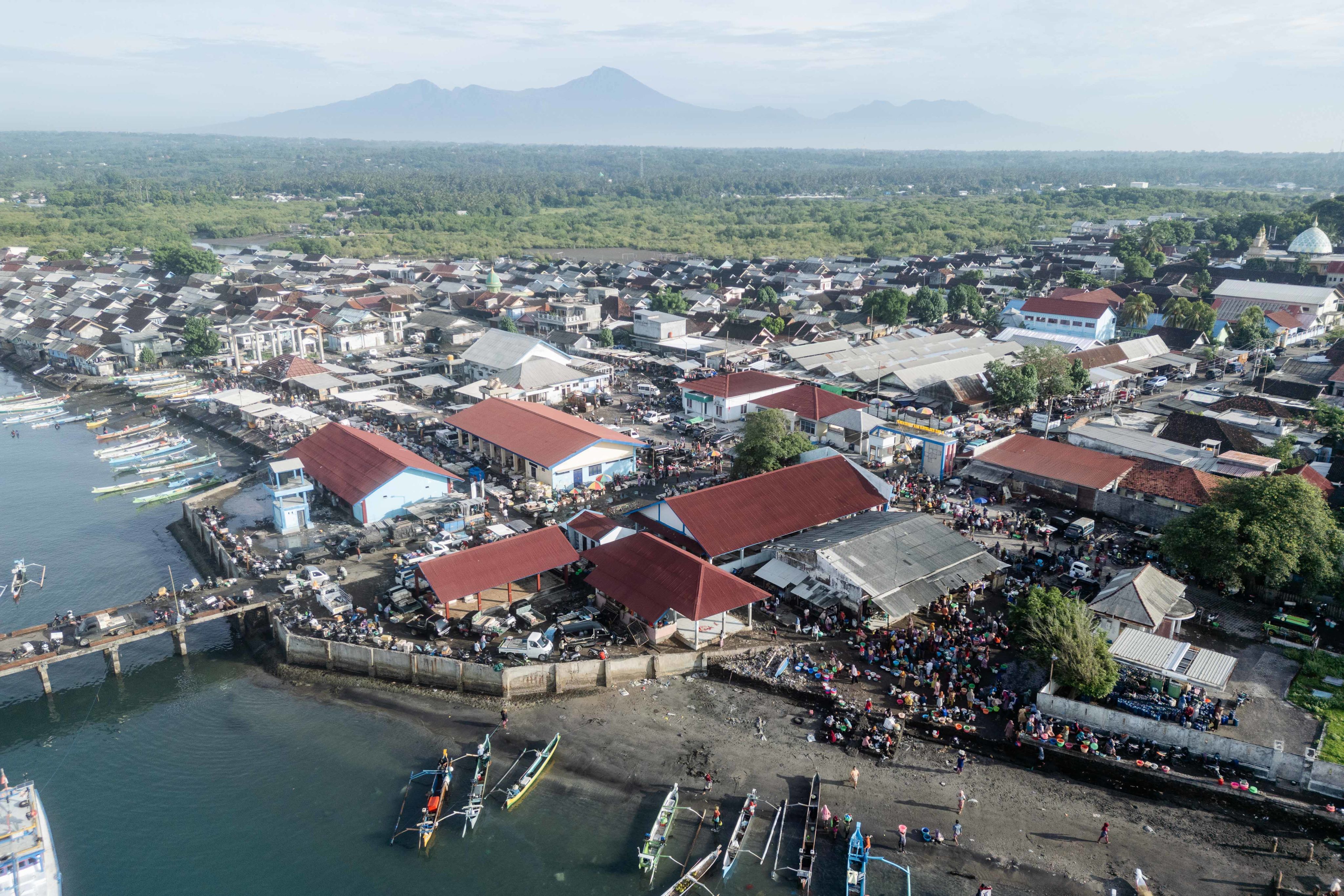 Indonesia's troubledshark trade