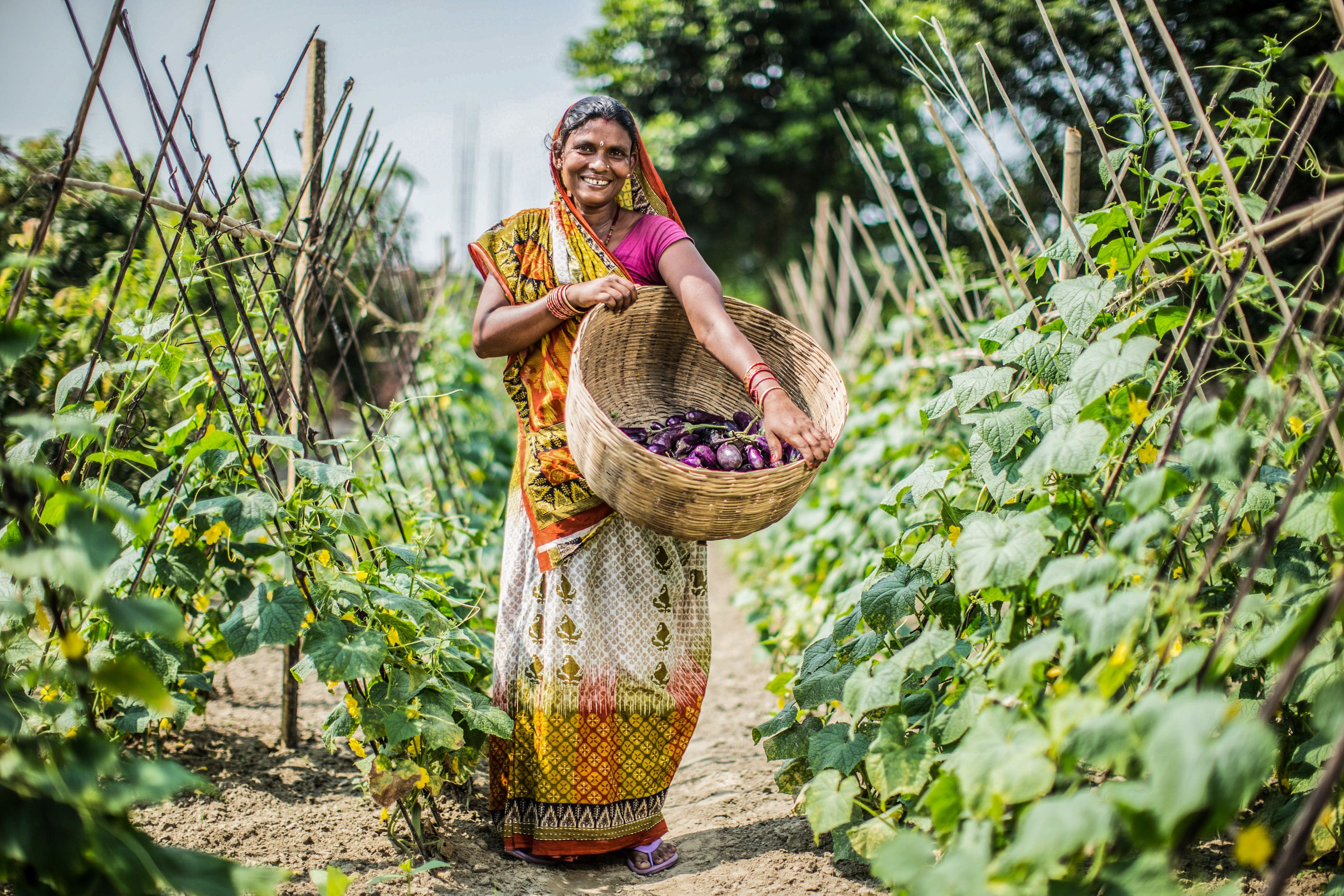 OPINION Reform the global food system to end famine