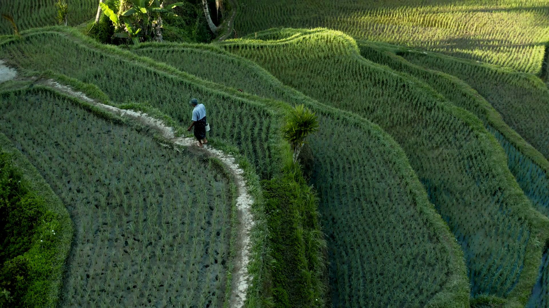 OPINION Reform the global food system to end famine