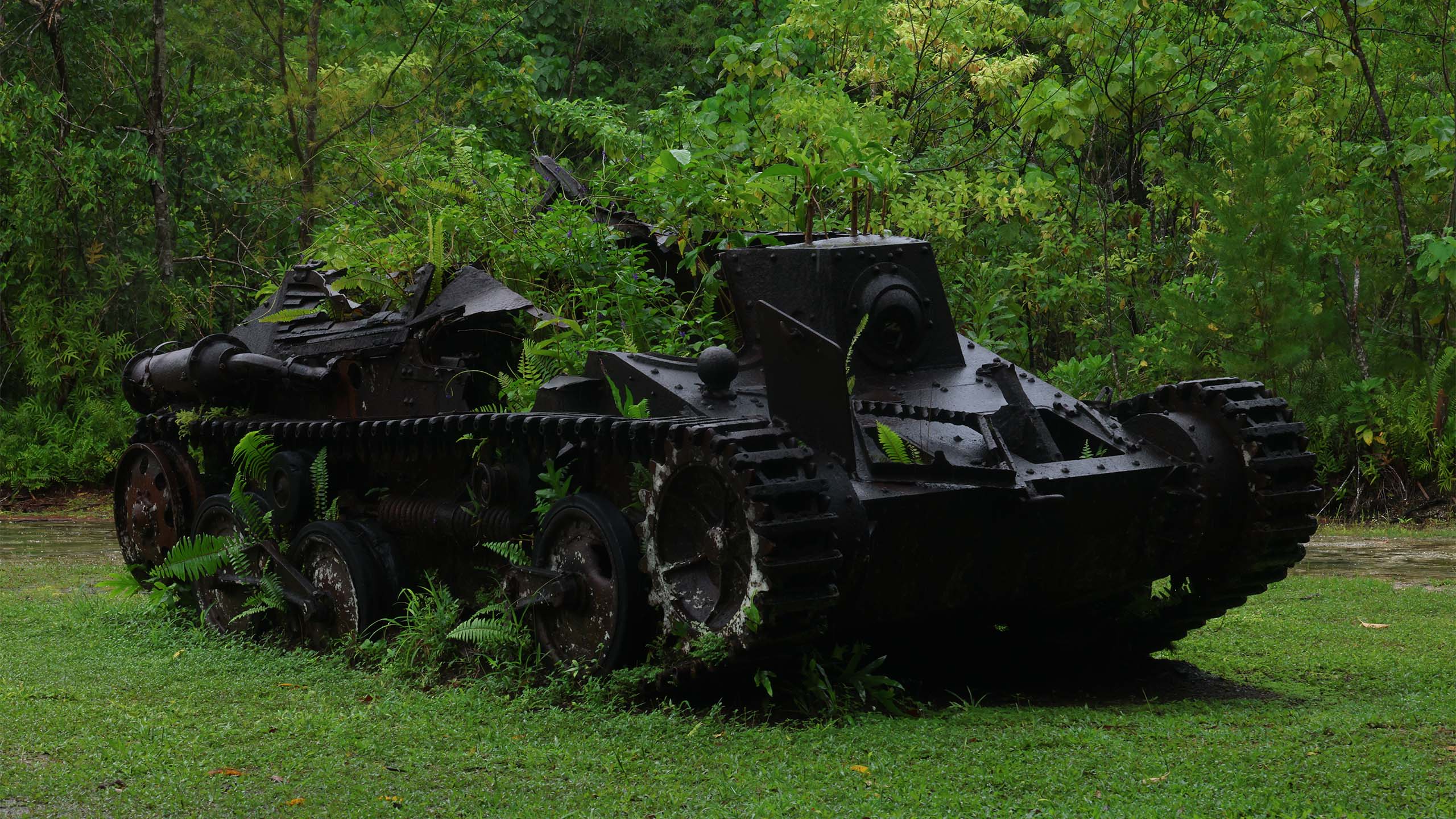Through the Lens: South Korea battles massive wildfires and more